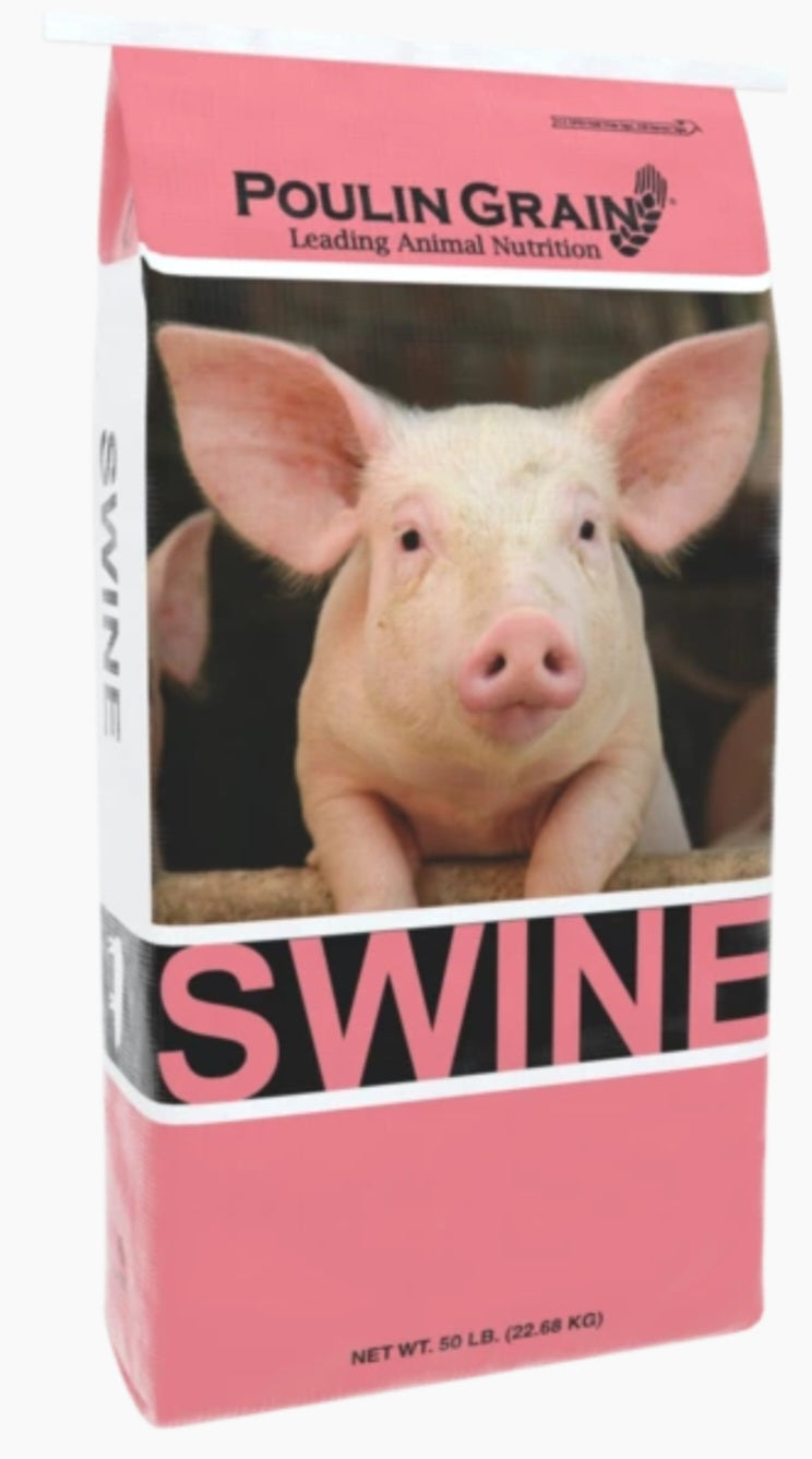 Pig – Rocky Ridge Livestock Farm and Feeds